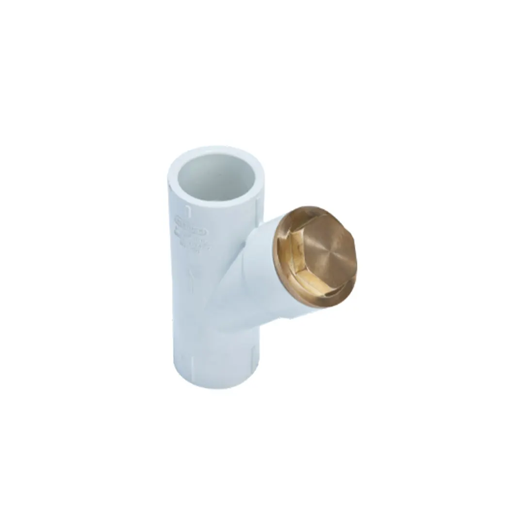 uPVC Aqualife Y Strainer | Ashirvad | Water Tanks & Pipes | Durable ...